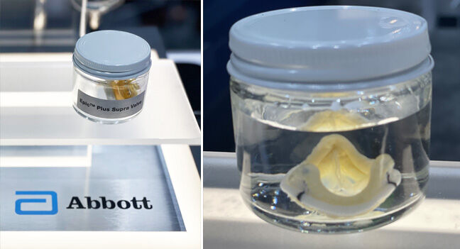 Heart Valve Experts Reunite at STS Conference!!!