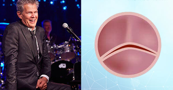 David Foster Reveals Heart Valve Diagnosis In New Documentary
