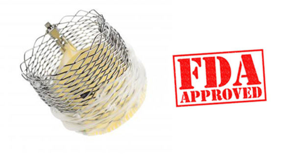 Lotus Edge TAVR Wins FDA Approval After Reprise III Trial