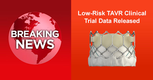 Adam Pick's Heart Valve Surgery Blog for Patients - Page 12