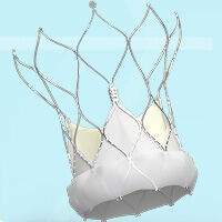 Learning Center for Heart Valve Disease & Surgery