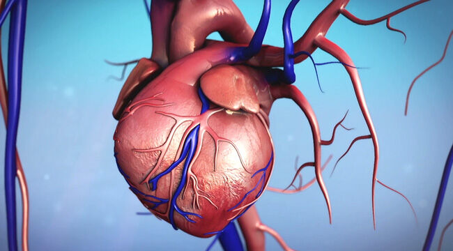 Pediatric Heart Valve Surgery: What Should Parents Know?