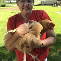 October 12, 2022 - Adam’s Heart Valve Surgery Blog