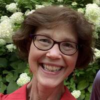 Modified David Reimplantation Procedure: What Should Patients Know?